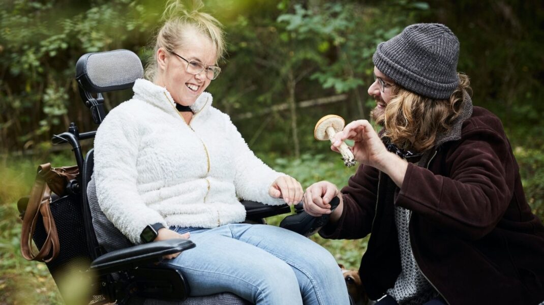 Brukerundersøkelse BPA 2024 - Stendi